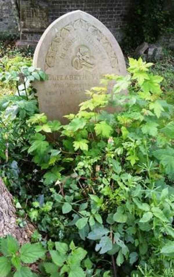 Elizabeth Vincent (507) plot | Rectory Lane Cemetery, Berkhamsted