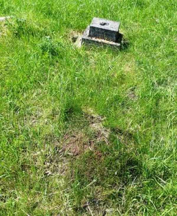 Millicent Augusta Nelson (667) plot | Rectory Lane Cemetery, Berkhamsted