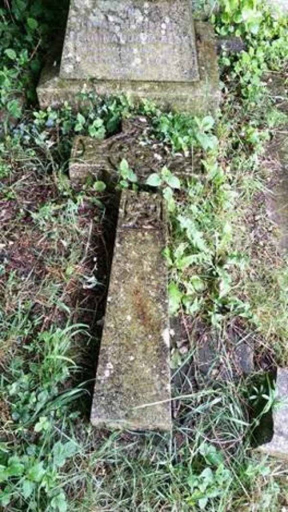 Ripley plot | Rectory Lane Cemetery, Berkhamsted